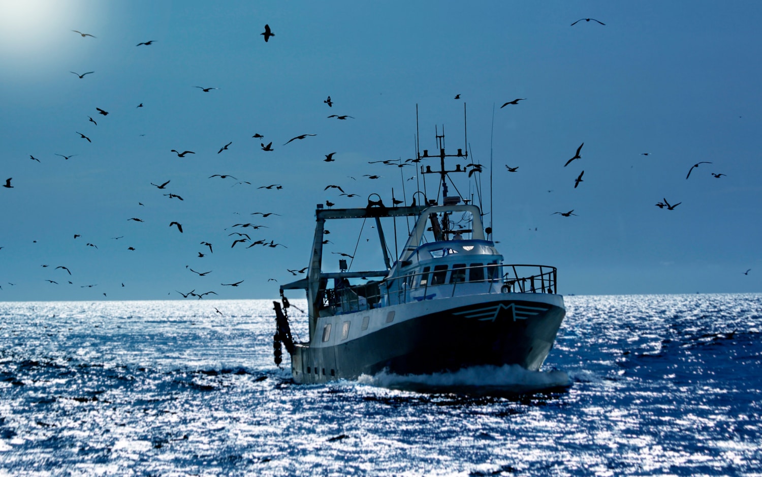 Reviewing the Most Affordable Vessel Designs
